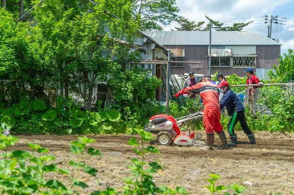 NPO法人 コミュサーあおもり 『ホームページ・SNS等の更新作業（写真モザイク加工含む）』 | GRANT - プロジェクト情報